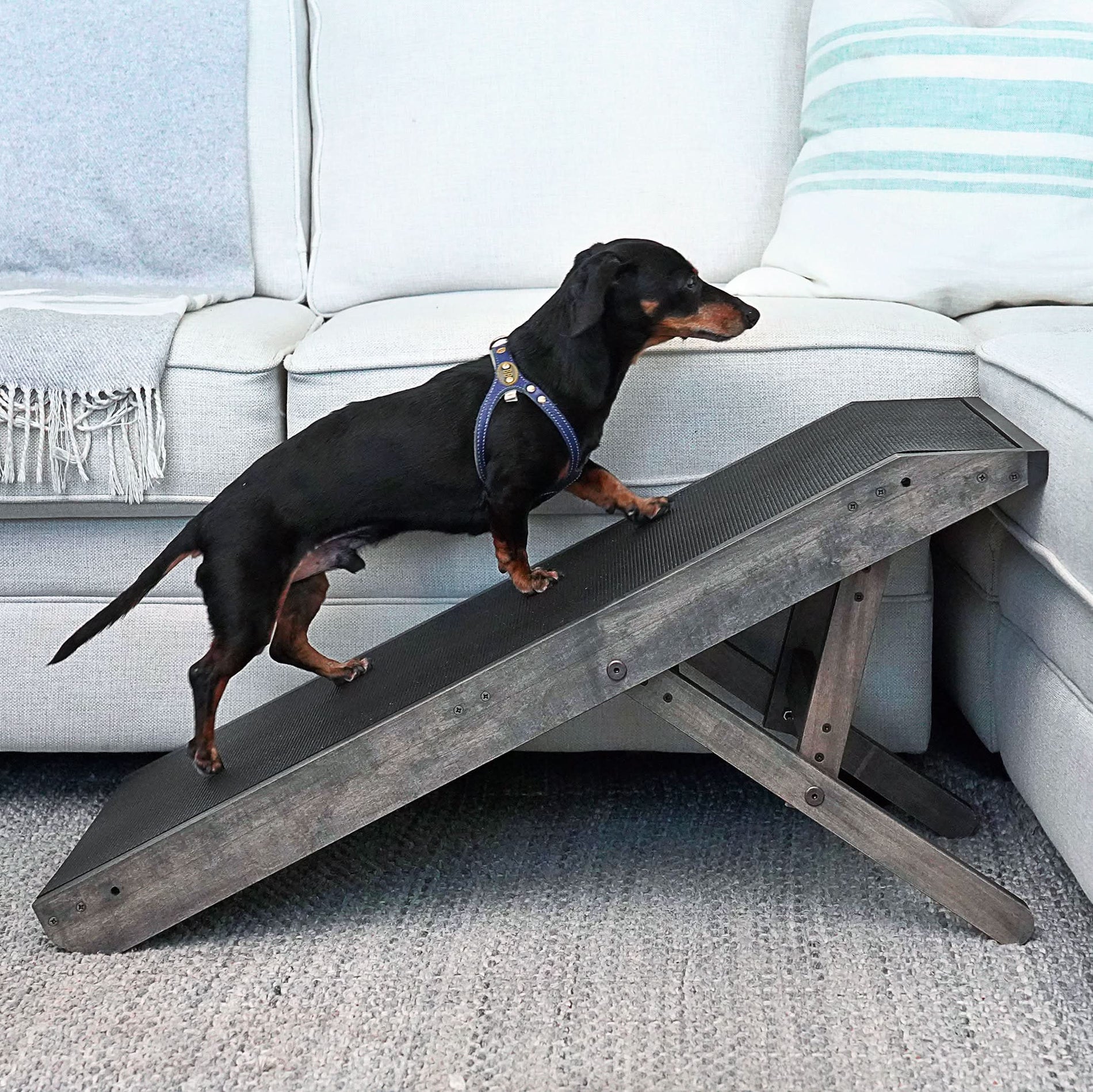 Dog Ramp for Couch with Optional Safety Rails - by DoggoRamps™