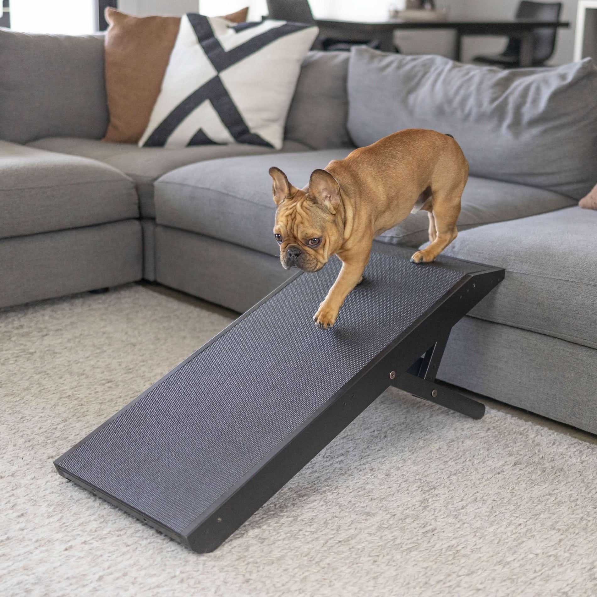 Dog Ramp for Couch with Optional Safety Rails - by DoggoRamps™