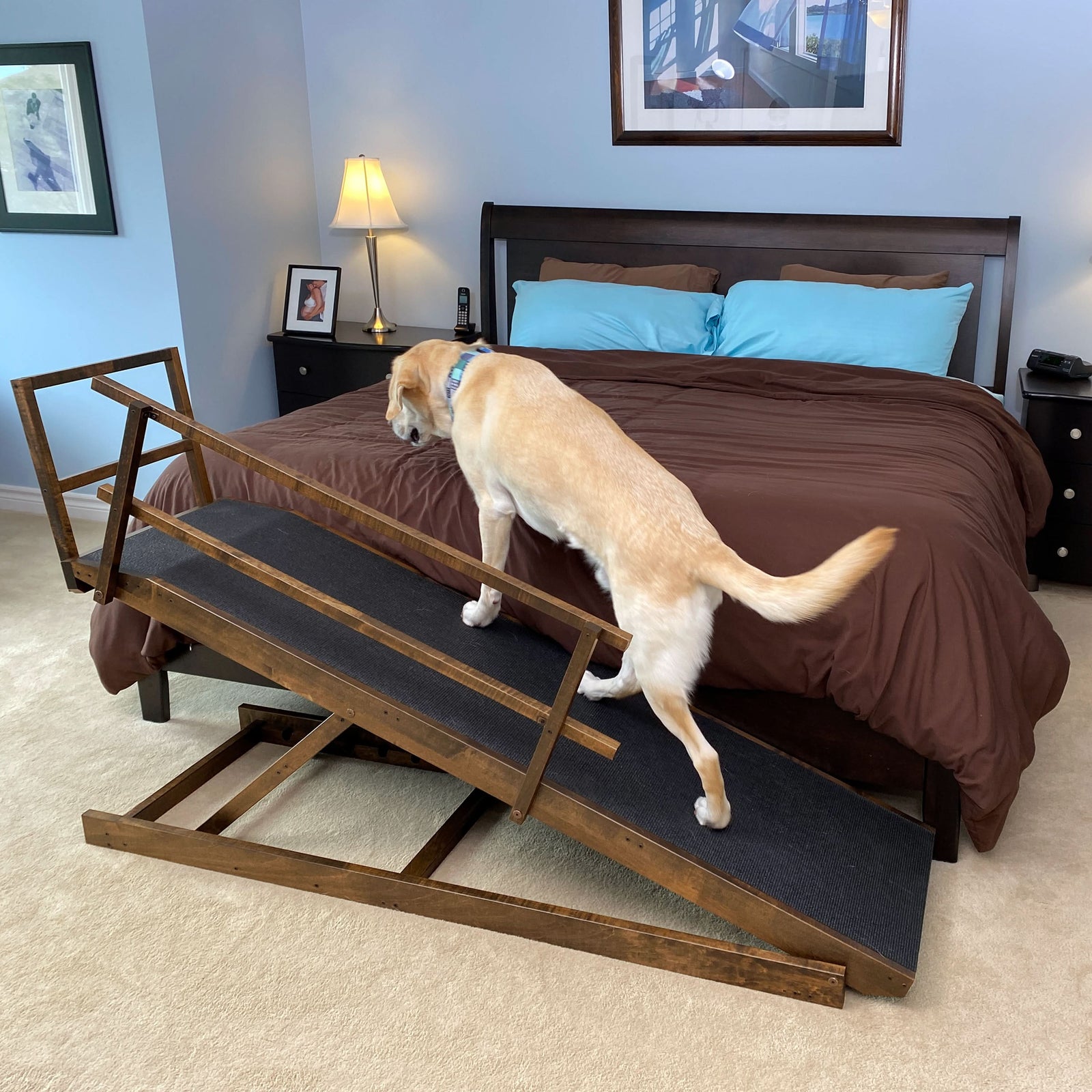 Bed Ramp for Medium & Large Dogs - Adjustable Dog Ramp with Rails