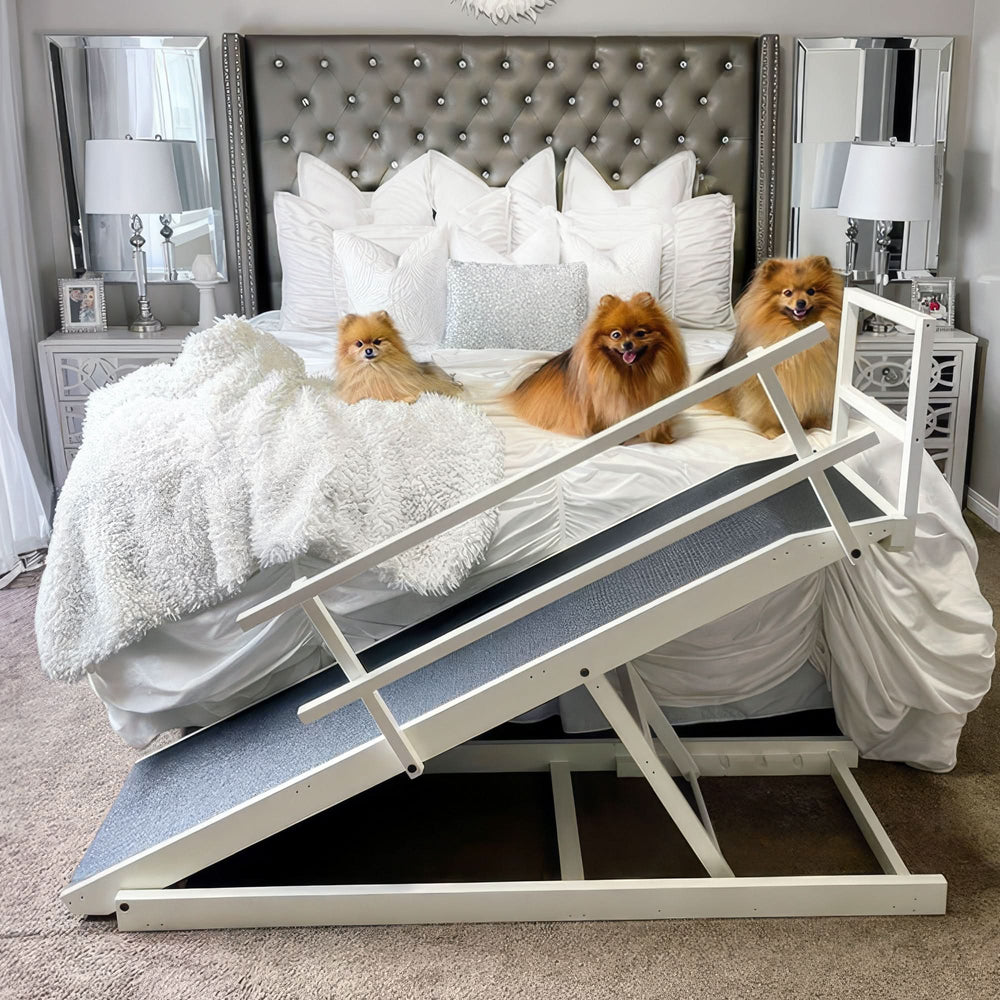 Bed Ramp for Medium & Large Dogs - Adjustable Dog Ramp with Rails