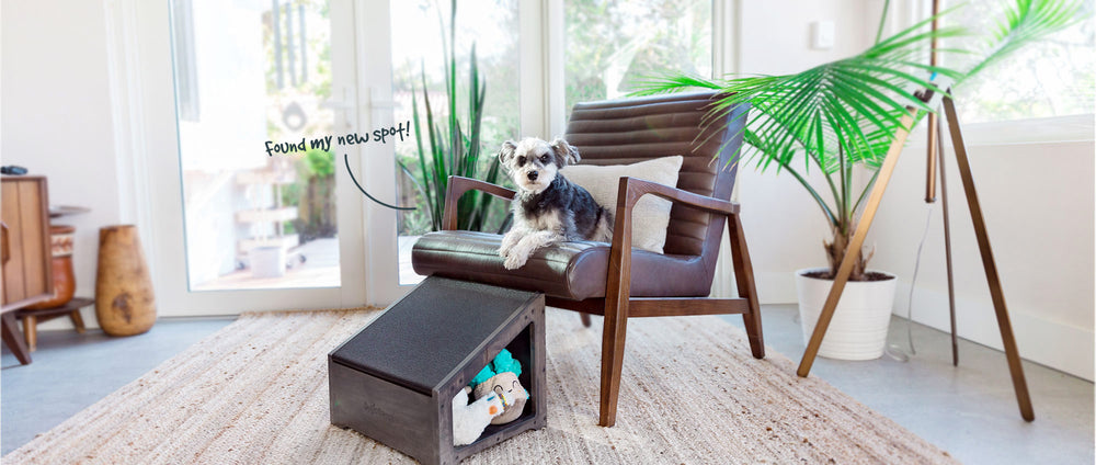 StepRamp For Dogs (Combination Step & Ramp) - Solid Hardwood