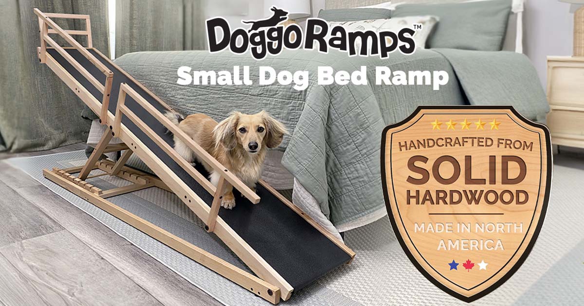 Small Dog Ramp for Bed – DoggoRamps