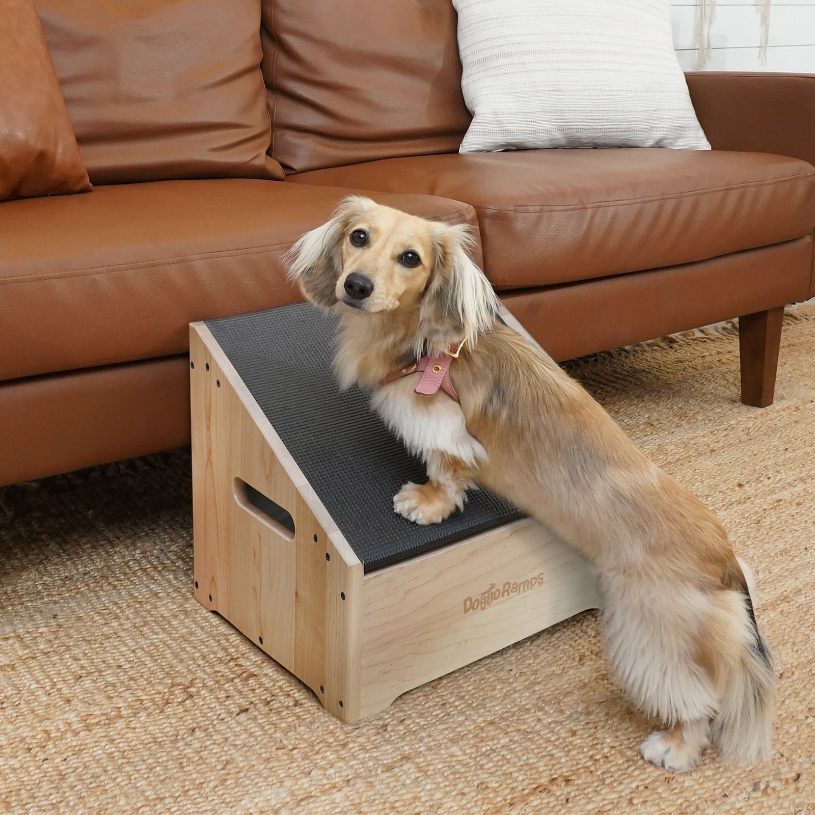 StepRamp For Dogs (Combination Step & Ramp) - Solid Hardwood